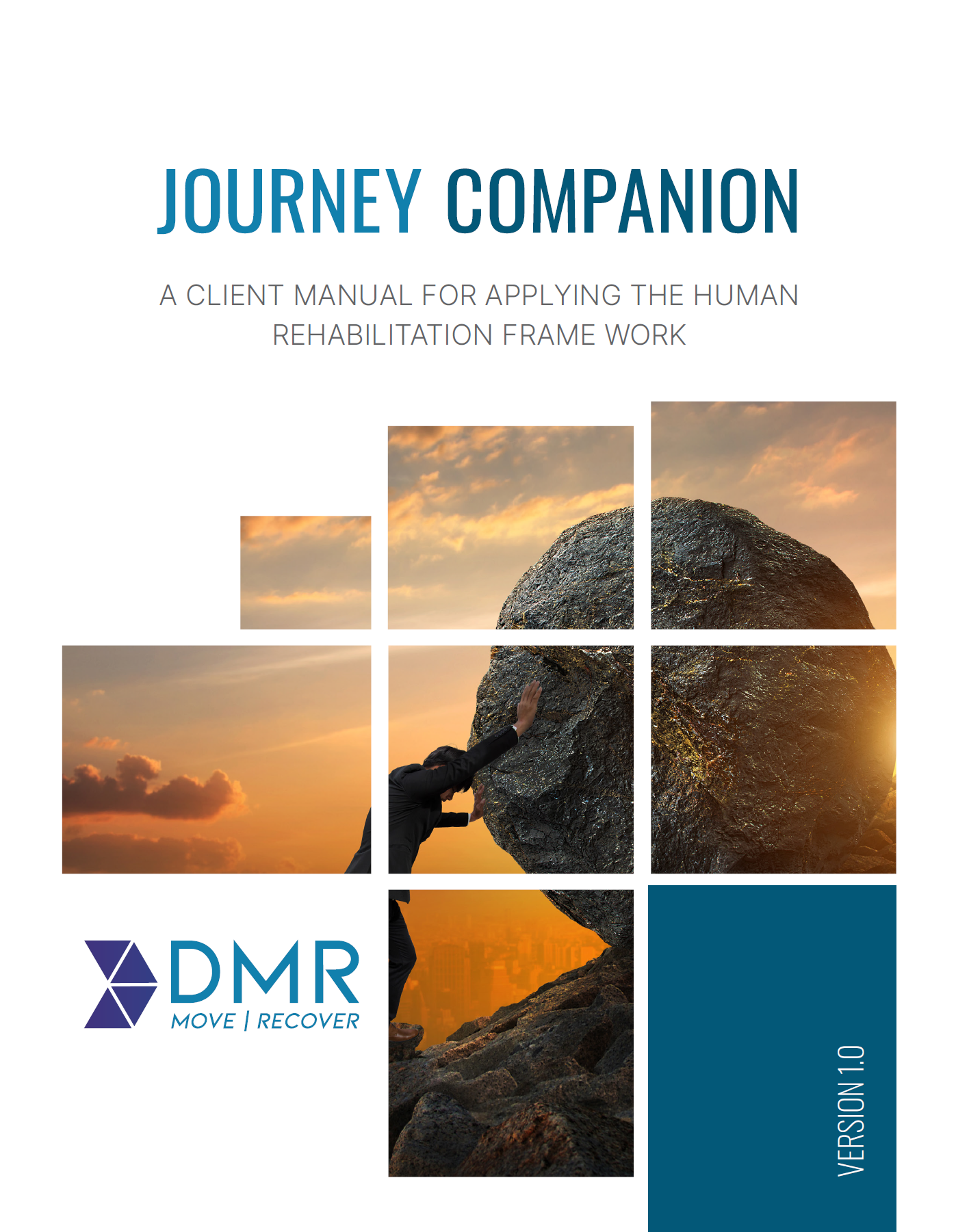 Client Manual – DMR